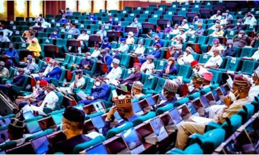 Reps Increase The Budget For 2024 To N28.7 Trillion. | WHITEBEETLES